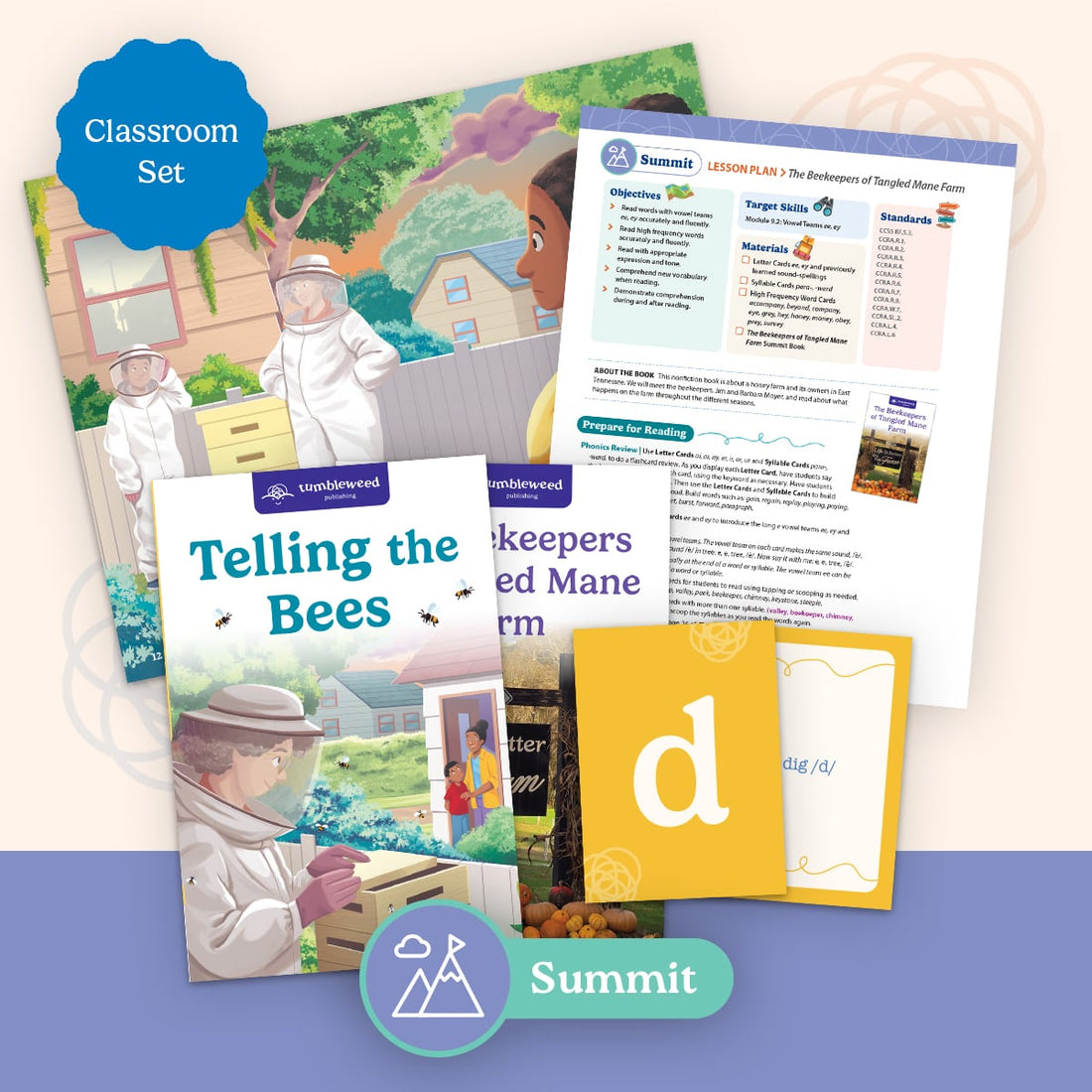 Summit Classroom Set – Tumbleweed